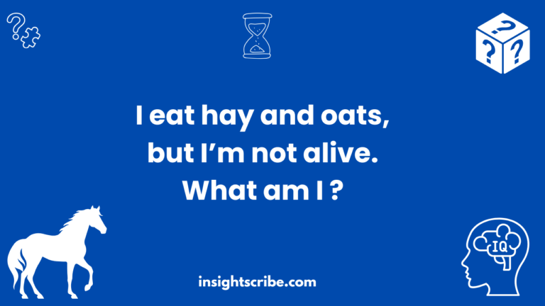 80+Horse Riddles with Fun and Challenging Answers! - Insight scribe