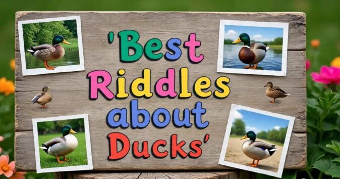 120+ Best Riddles About Ducks To Test Your Wits