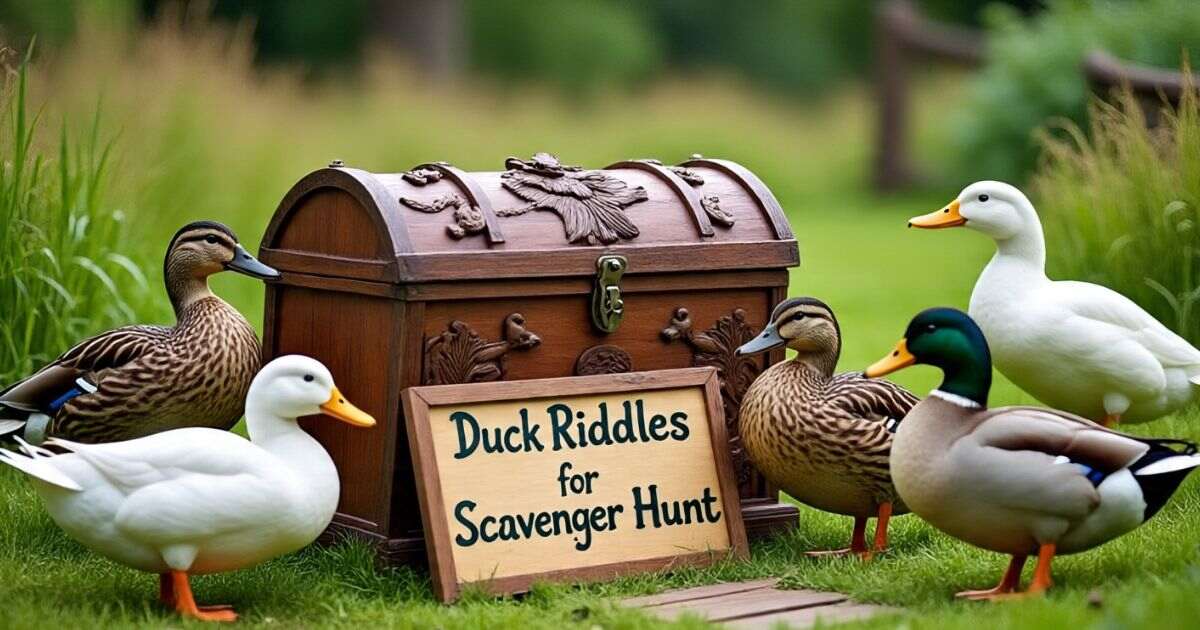 120+ Best Riddles About Ducks To Test Your Wits