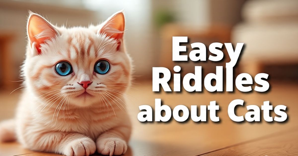 200 Cat Riddles Only True Cat Lovers Can Solve These Mind-Bending