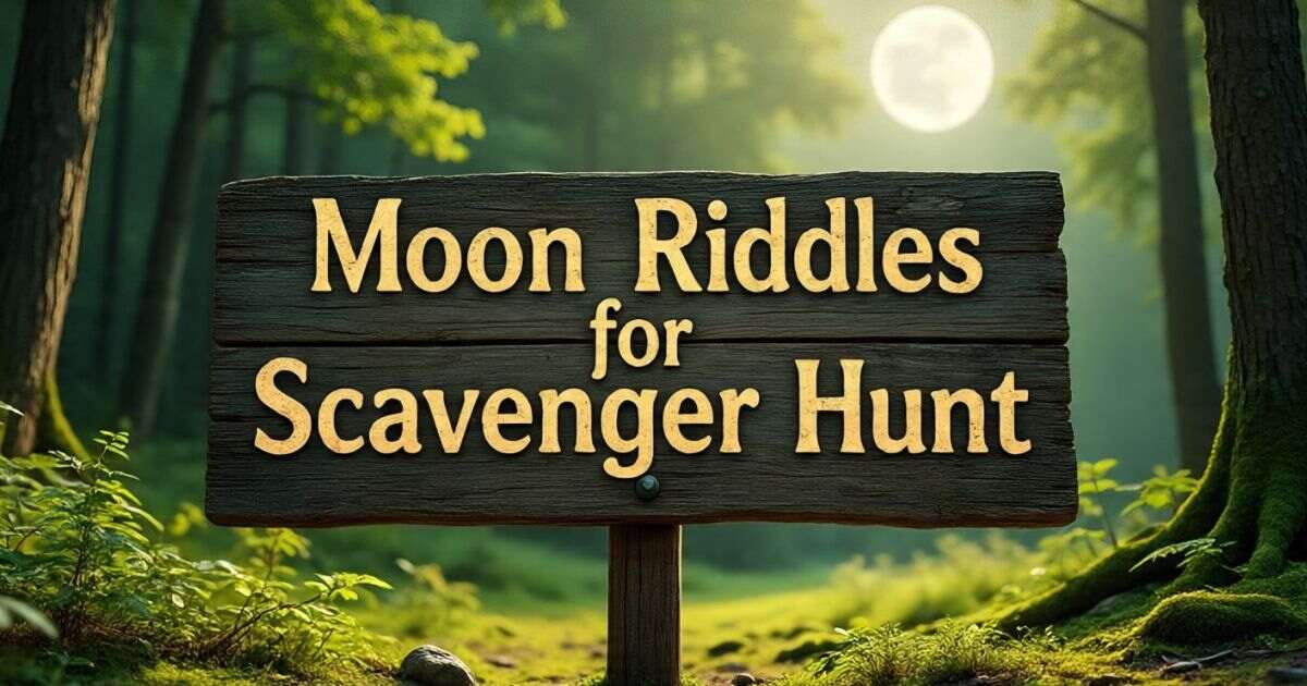 140 + Riddles About Moon That Will Light Up Your Brain Like A Full Moon ...