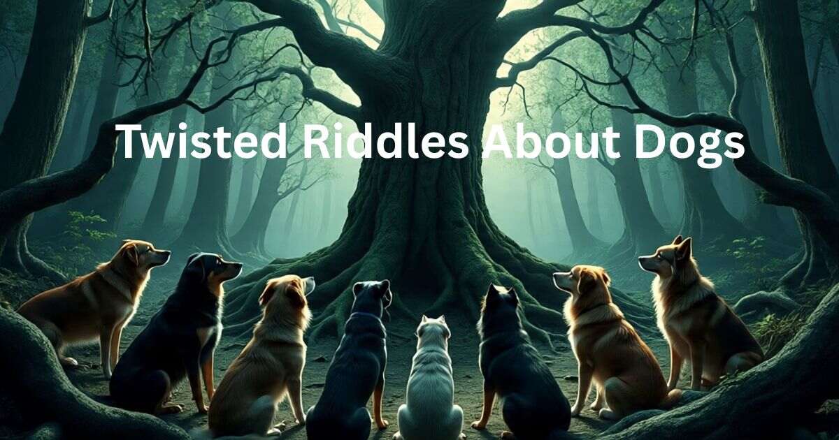 120 + Best Riddles About Dogs For Pet Lovers: Crack The Fun