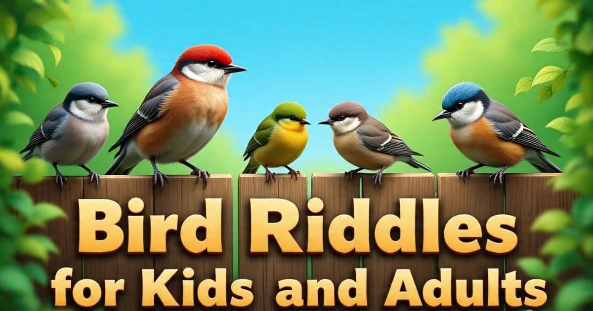 40+ Best Bird Riddles With Answers To Test Your Mind